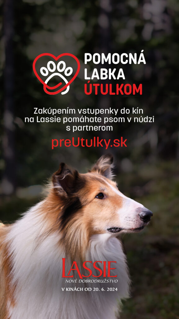 Lassie sa vracia a podáva pomocnú labku psíkom v núdzi - Zensky Web